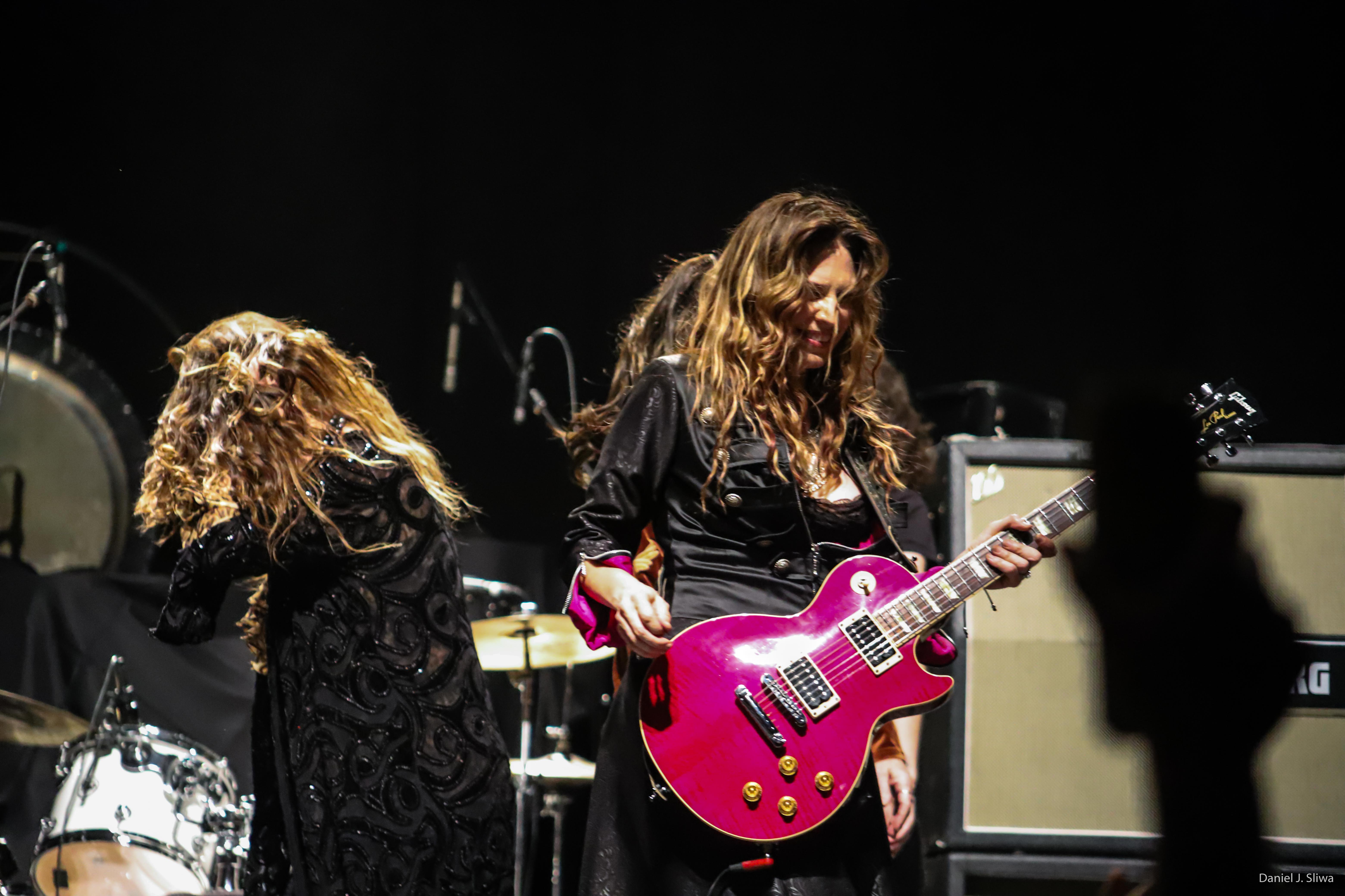 Ali Handal | TOUR DATES - Ali Handal